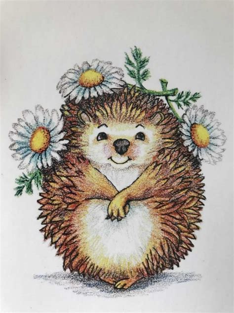 Как нарисовать ежика поэтапно красками и карандашом для начинающих схемы с пошаговой инструкцией