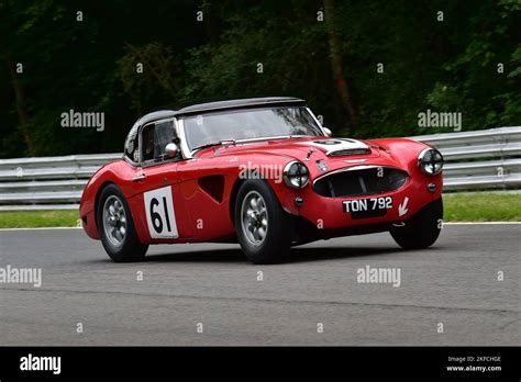 Doug Muirhead Austin Healey 100 6 Equipe Libre Equipe Gts A Forty