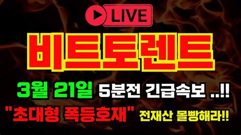 비트토렌트 코인 3월21일 5분전 긴급속보 터졌다 초대형 폭등 호재에 전재산 몰빵해라 Youtube