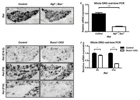 Figures And Data In Extrinsic And Intrinsic Signals Converge On The