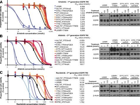 Figure 1 From Egfr Exon 20 Insertion Mutations Display Sensitivity To Hsp90 Inhibition In