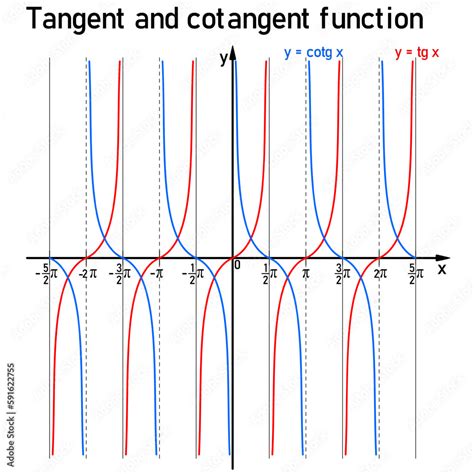 Graphic Representation Of The Goniometric Tangent And Cotangent Functions On The Number Line