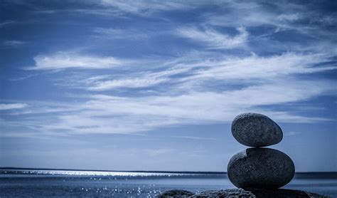 What Are Dichotomous Questions Types And Examples