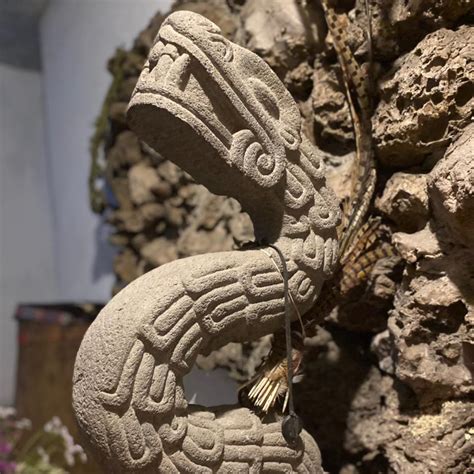 Centro De Investigación Anahuaca De Sabiduría Ancestral Tlazocamati No Es Un Simple Gracias