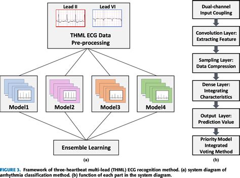 Figure 3 From Three Heartbeat Multilead Ecg Recognition Method For Arrhythmia Classification