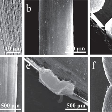 Fesem Images A Cnts B Surface Of Cnt Socks C Cross Section Of Download Scientific