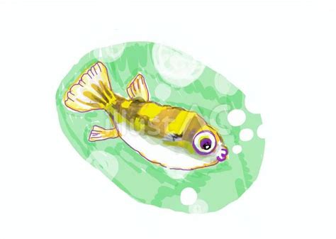クサフグイラスト No 23955424無料イラストフリー素材ならイラストAC