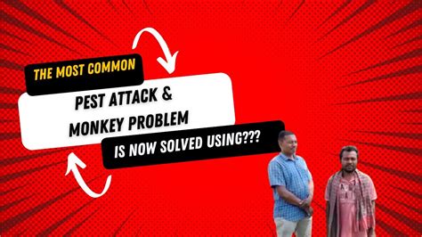 How Herboliv Solved Monkey Problem And Pest Problem Stop Pests