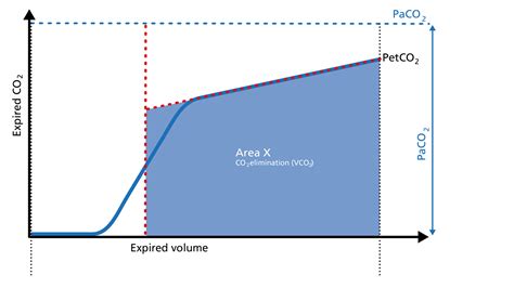 The Guide To The Basics Of Volumetric Capnography Hamilton Medical