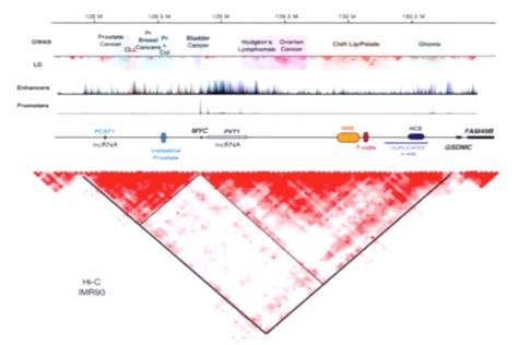 Bioc 312 Lecture 4 Flashcards Quizlet