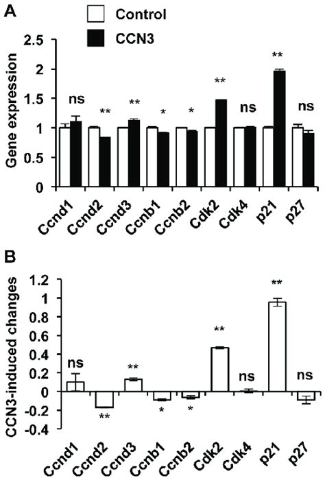 CCN3 Modifies The Expression Of Several Genes Involved In The Control Download Scientific