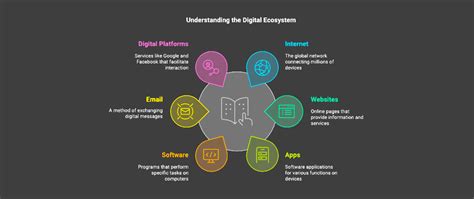Understanding The Digital World Websites Apps And How To Own One