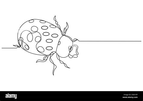 Ladybug Vector Illustration Continuous Line Drawing Single Continuous Line Drawing Of Adorable