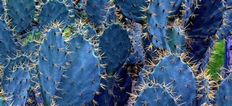 Mercury Consulting Your Partner In Global Business Venture