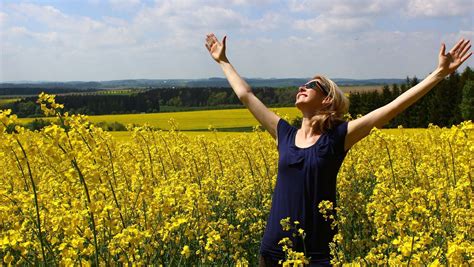 მადლიერება კეთილი ჯადოქარი რომელიც ბევრს აკეთებს 30 01 2018 ს Sputnik საქართველო