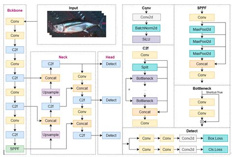 Improved Yolov8 Pose Algorithm For Albacore Tuna Thunnus Alalunga Fork Length Extraction And