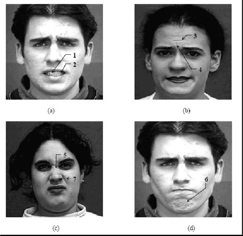 4 Sample Images Showing The Binary Valued Parameters 12 Reproduced