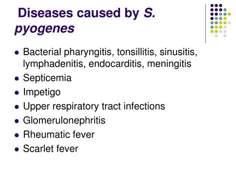 Ppt Streptococcus Pyogenes Powerpoint Presentation Free Download