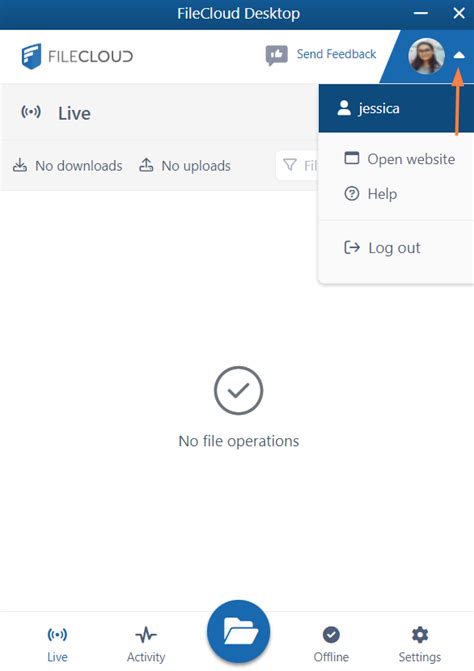 Using The Dashboard In Filecloud Desktop For Windows Filecloud Docs