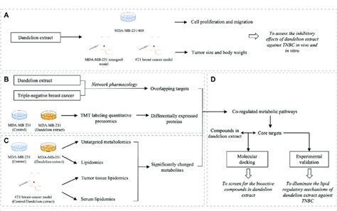 The Schematic Flowchart Of The Integrated Analysis For Dandelion Download Scientific Diagram