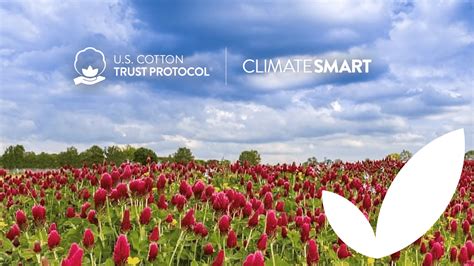 U S Cotton Trust Protocol And Textilegenesis™ Announce Collaboration Trust Us Cotton Protocol