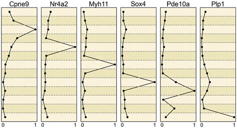Tutorial 3 Mouse Brain Dataset — Spaknit 0 1 Documentation