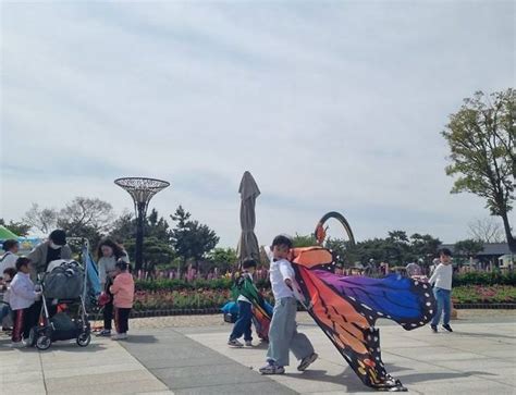 나비·황금박쥐 보고 좋은 기운 가득함평나비축제 개막