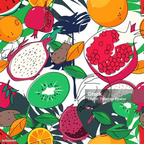 밝은 양식화 된 과일로 완벽 한 패턴입니다 여름의 분위기 여러 가지 빛깔의 그림입니다 0명에 대한 스톡 벡터 아트 및 기타 이미지 0명 개체 그룹 과일 Istock