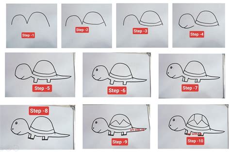 50 Easy And Cute Turtle Drawing Ideas Drawing Photos