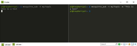 Getting Started With Mosquitto On A Raspberry Pi Päkstech