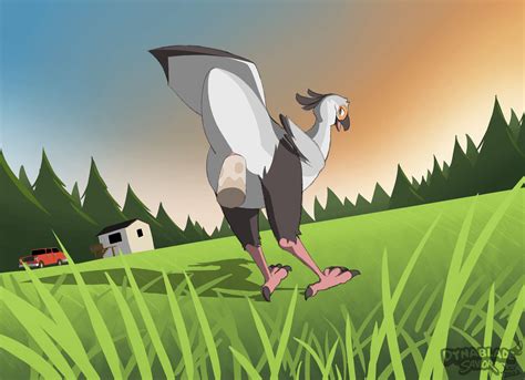 Rule 34 Accipitriform Ambiguous Gender Animal Genitalia Animated Ass Avian Bird Black Body Rule 34 Accipitriform Ambiguous Gender Animal Genitalia Animated Ass Avian Bird Black Body