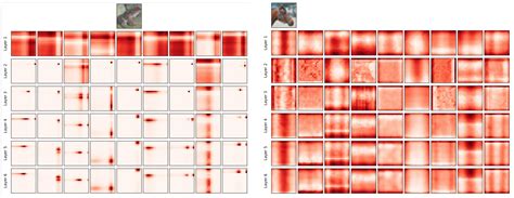 [re] On The Relationship Between Self Attention And Convolutional Layers Weights And Biases