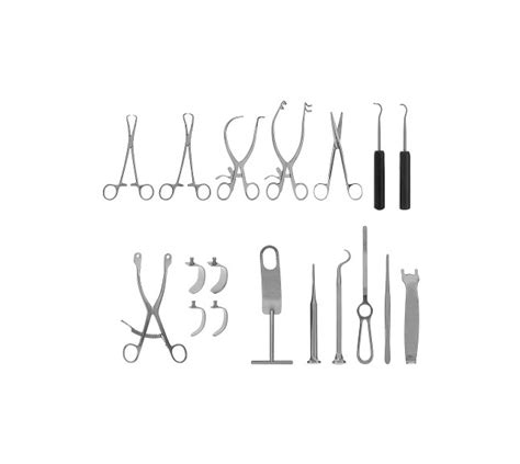 Labectomy And Segmental Lung Resection Set Contains 10 Pcs Rhein Website