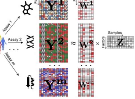 multi omics factor analysis a framework for unsupervised integration