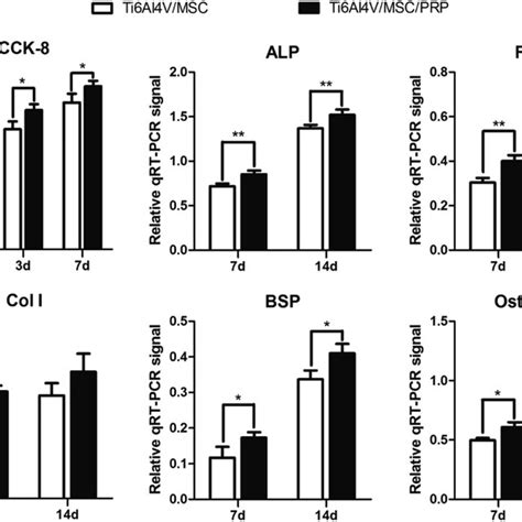 cell proliferation and live dead fluorescence microscopy images after