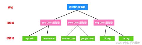【linux实验室】dns域名解析服务——超详细实验操作！ dns 服务器 数据库 csdn博客