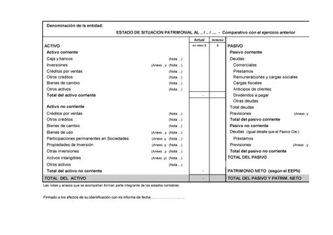 Estado De Situacion Patrimonial En Blanco Denominación De La Entidad