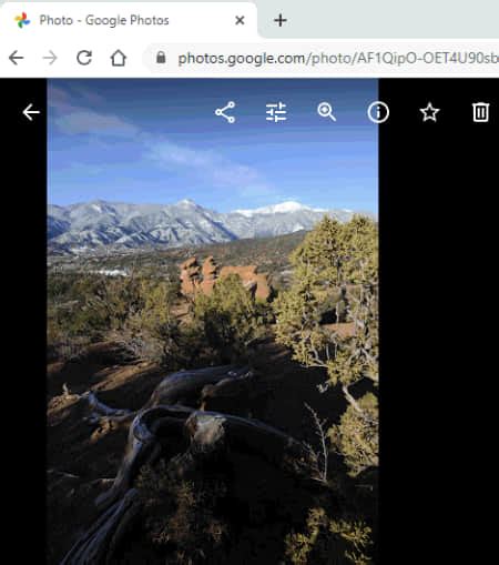 6 Best Free Online Nef Viewer Websites