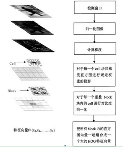HOG算法的笔记与python实现 九叶草 博客园