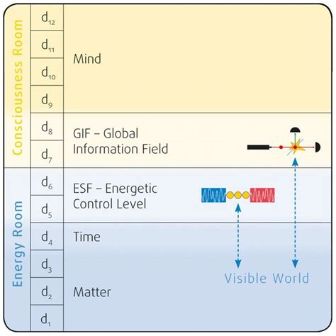 Introduction Of The 5th And 6th Dimension Information Field Of Burkhard