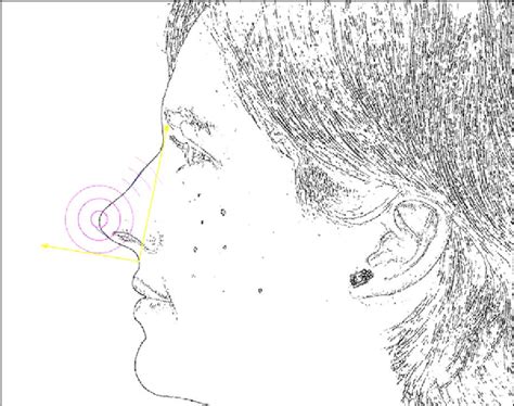 Figure 4 From Robust Shape Feature Vector Based Face Recognition System Semantic Scholar