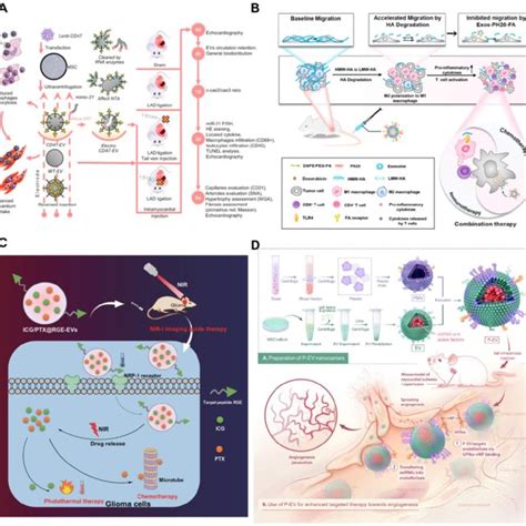Engineering Methods Of Tumor Derived Extracellular Vesicles A Download Scientific Diagram