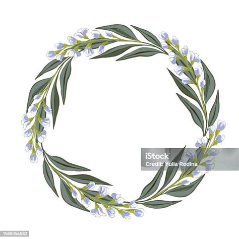 푸른 야생화와 녹지 화환입니다 소박한 꽃무늬 원형 배경 고립된 손 그리기 그림 대학생에 대한 스톡 벡터 아트 및 기타 이미지 대학생 원형 Round Three