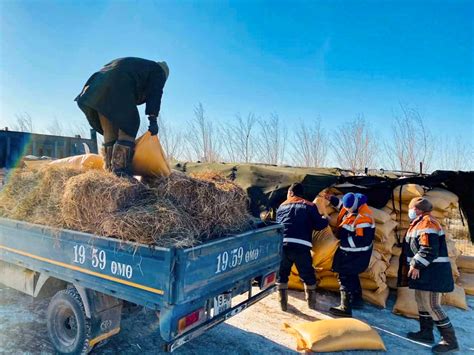М Си Эс Групп хаваржилт хүндэрсэн аймгуудад 1 1 тэрбум төгрөгийн тусламж дэмжлэг үзүүлнэ