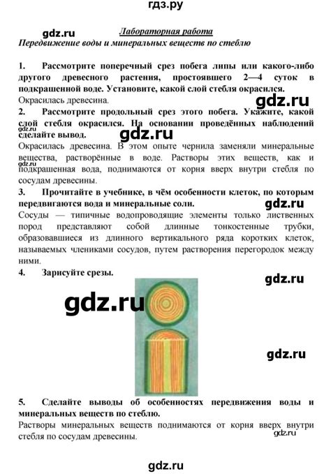ГДЗ § 19 Передвижение воды и питательных веществ в растении Лабораторная работа Передвижение