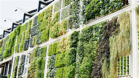 Implementing Csr What Business Owners Should Know Article Hsbc Business Go