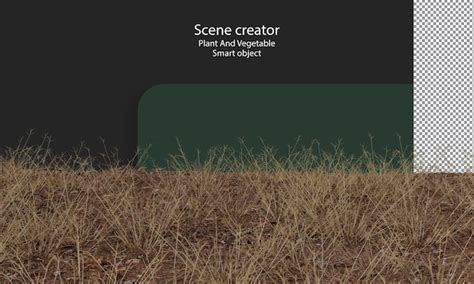 Dry Grass Field Isolated Dried Grass Clipping Path Premium Psd