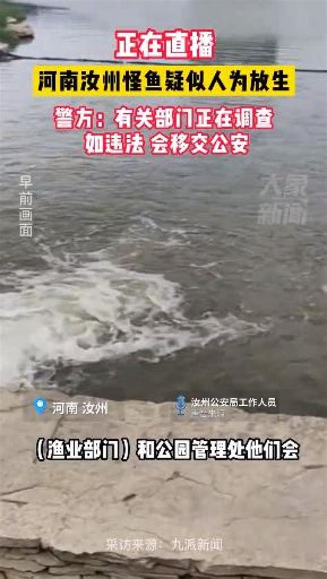 千万网友围观抓“怪鱼”，多方回应澎湃号·政务澎湃新闻 The Paper