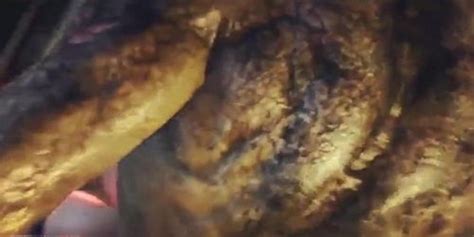 Alien Sex D Tnaflix Com