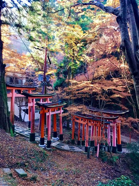 Fushimi Inari Taisha Shrine Hiking Mount Inari